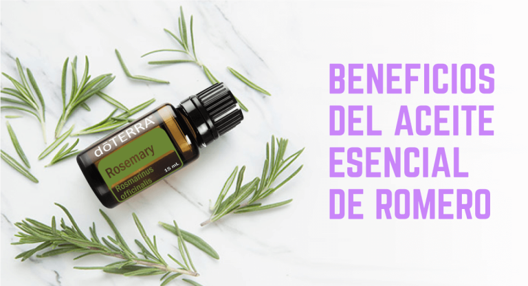 Aceite esencial de Romero: Beneficios, forma de uso e historia - Daniela Romay